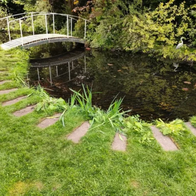 Pond safety products - Pond Safety Ltd