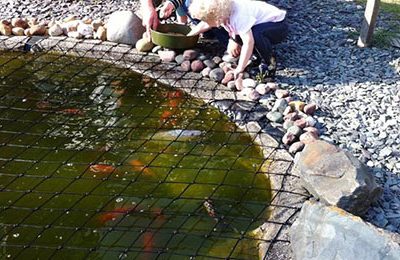 Pond Covers | Pond Safety Ltd