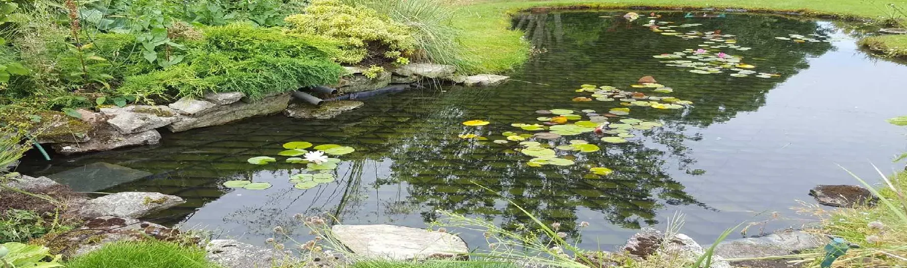 Pond Covers | Pond Safety Ltd